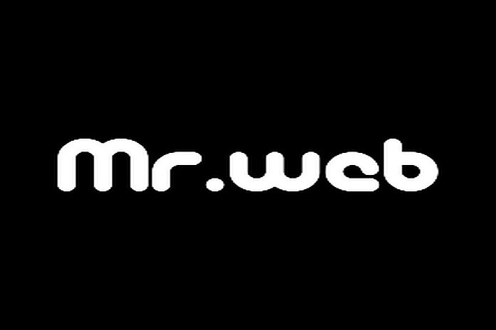 Mr Web helps businesses grow with integration of modern solutions ...