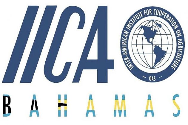 IICA continues to support The Bahamas to advance, enhance agricultural ...