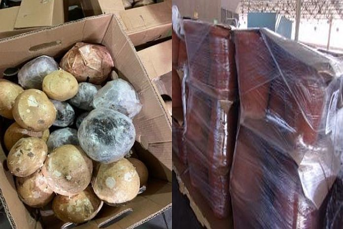Otay Mesa CBP Officers intercept deadly drugs worth more than $15M ...